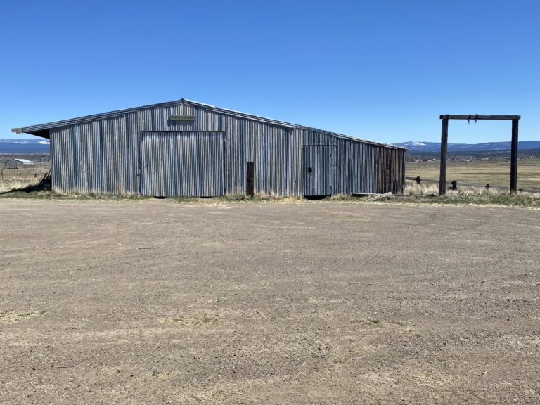Cow Palace | The Cattle-ist