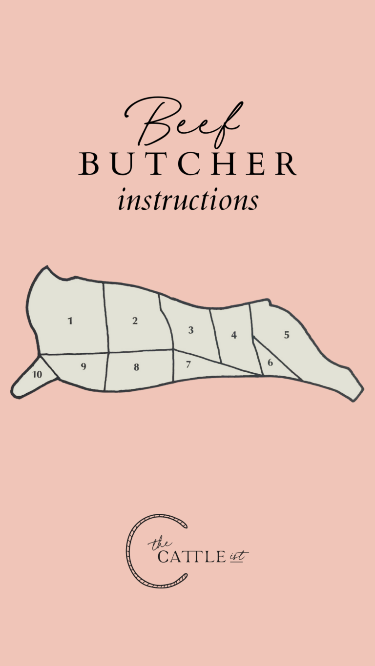 Beef Butcher Instructions | The Cattle-ist